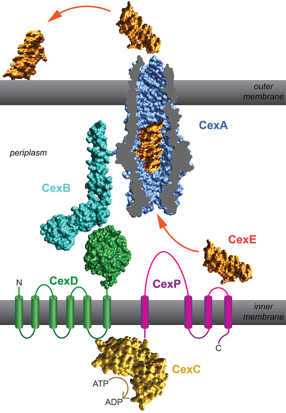 Research Miller School of Medicine