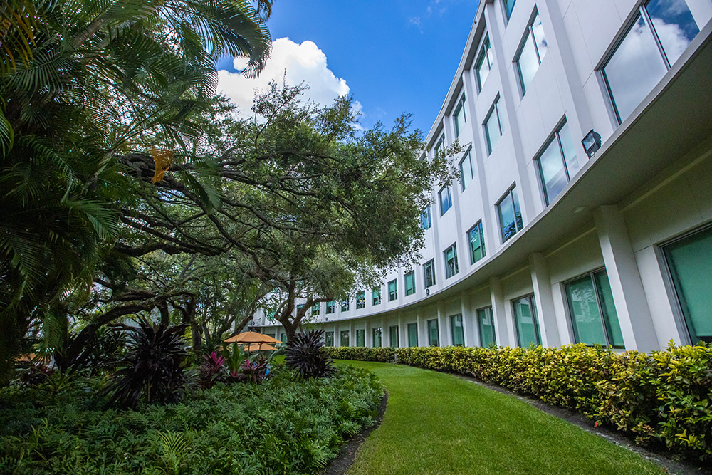 DREAM Program Miller School of Medicine